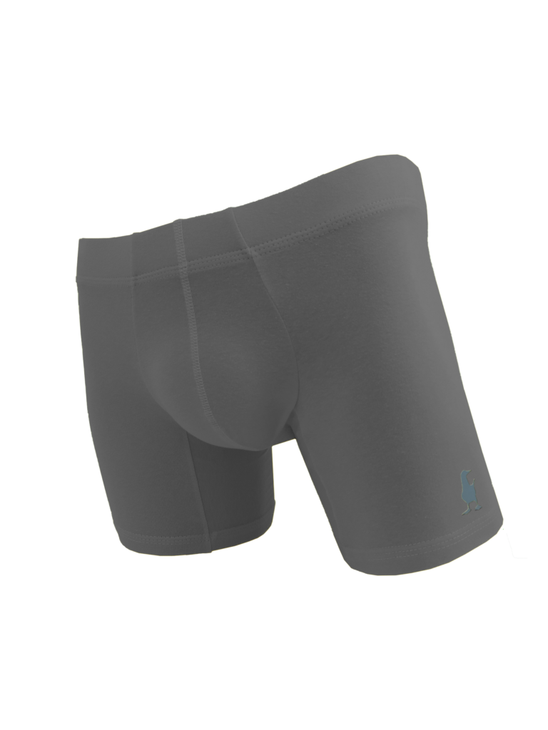 BOXER GRIS CLARO LLANO - Bassil